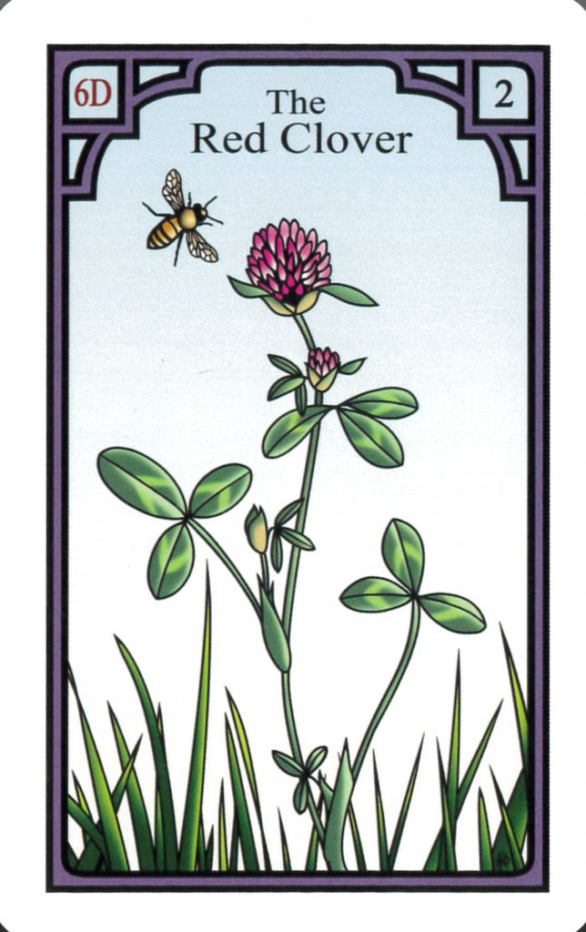【在庫切れ】バーニングサーペントオラクルデッキ（ロバート・M・プレイス）[ The Burning Serpent Oracle Deck ...