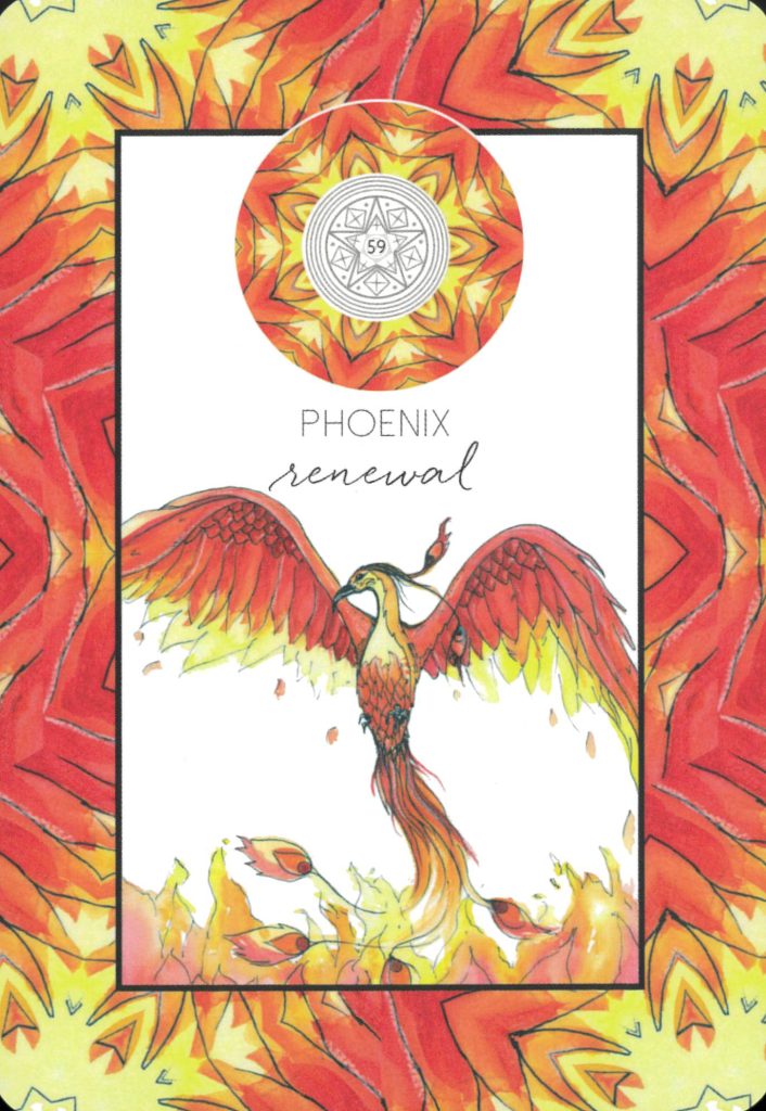 アニマルキンオラクル 日本語解説書付き（2022年8月発売） | 日本のオラクルカード・タロットカード全集オンラインストア